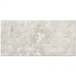 Debitage Flint 12" x 24" Porcelain Stoneware from Garden State Tile