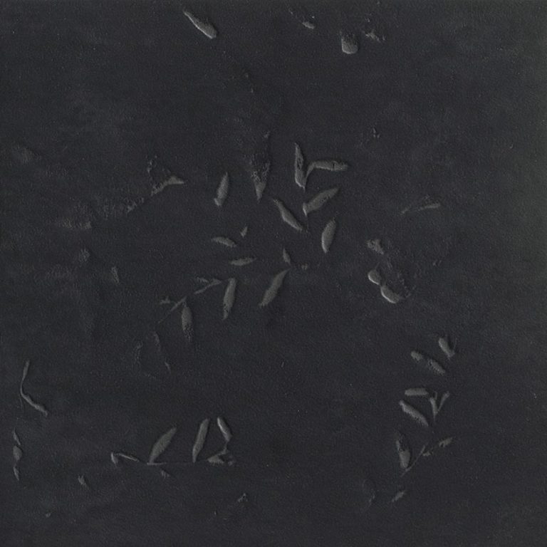 Chymia Black Cosmo 12" x 12" Porcelain from Garden State Tile