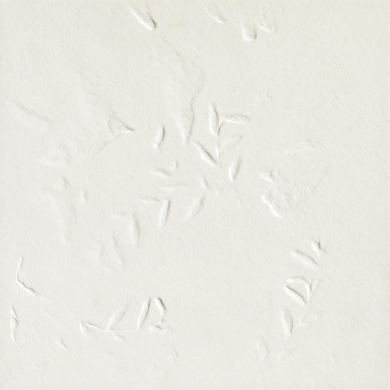 Chymia Black Cosmo 12" x 12" Porcelain from Garden State Tile