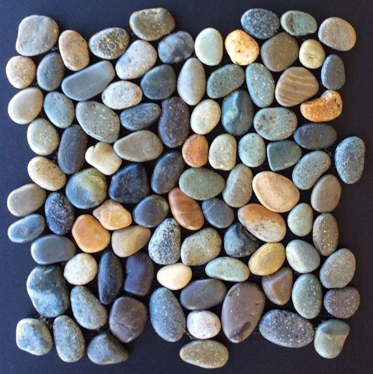 Pebbles Multi Color Turtle Pebble Mosaic from Garden State Tile