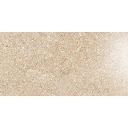 Ivory 12" x 24" Natural Rectified from Garden State Tile