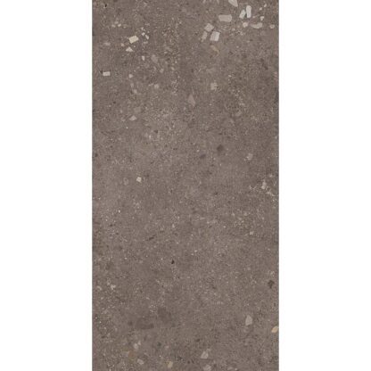 Titan Ash 24" x 48" Natural Rectified by Garden State Tile